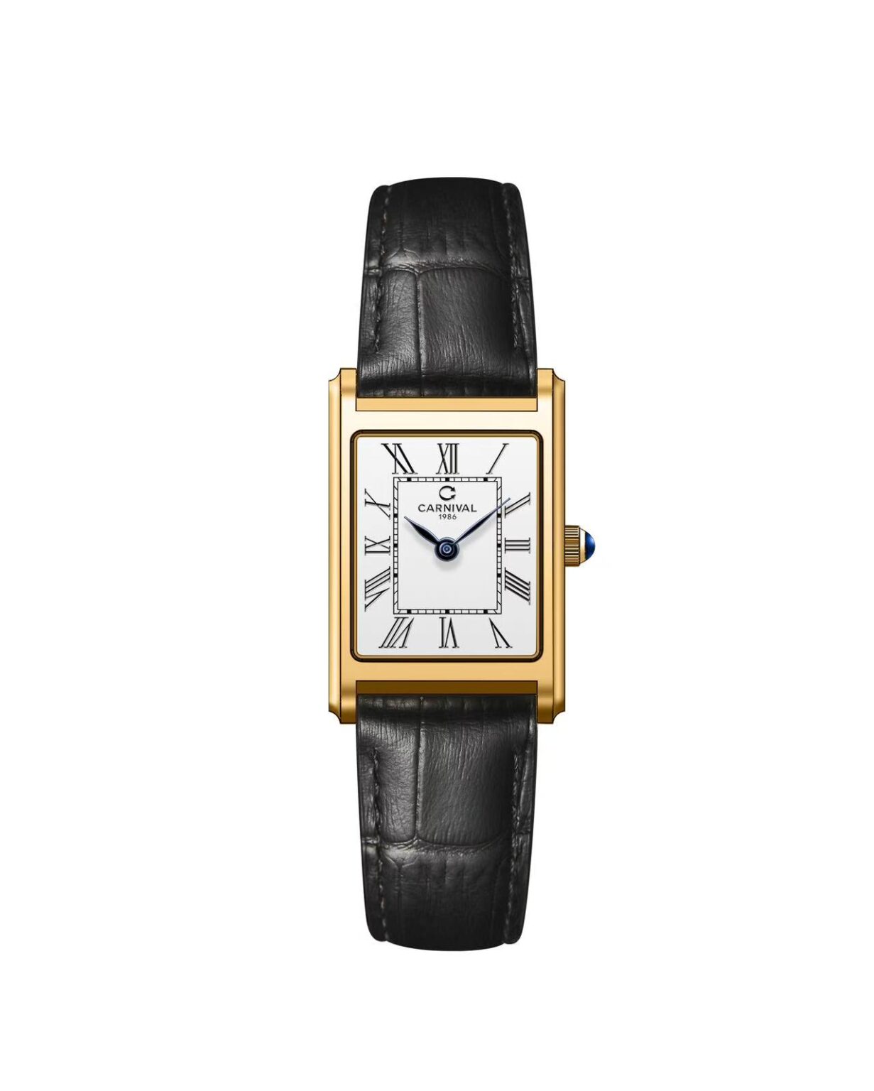 CARNIVAL 8231L-VV-DD-T